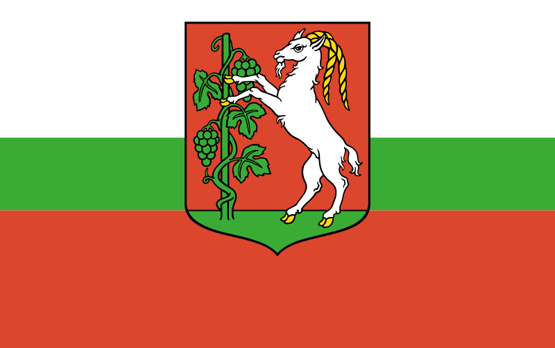 Flag of Lublin | Flages Wiki | Fandom