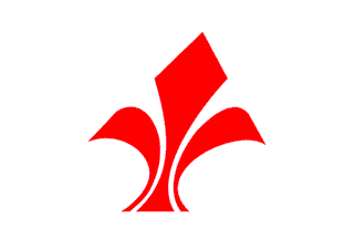 Flag of Lille | Flages Wiki | Fandom