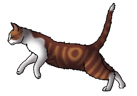 Redcloud | FlameClan Roleplaying Wiki | Fandom