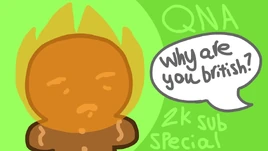 A (unprofessional) QnA! (2K SUB SPECIAL) | FlaminGingerbread Wiki | Fandom