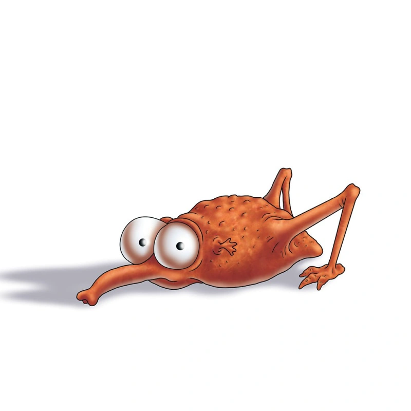 Gronglet | A Flanimals Wiki | Fandom