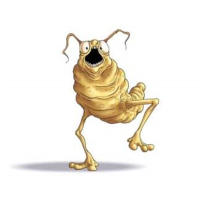 Dweezle Muzzbug | A Flanimals Wiki | Fandom