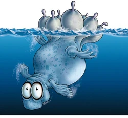 Ungler Water Mungler | A Flanimals Wiki | Fandom