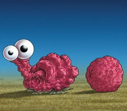 Plumph | A Flanimals Wiki | Fandom