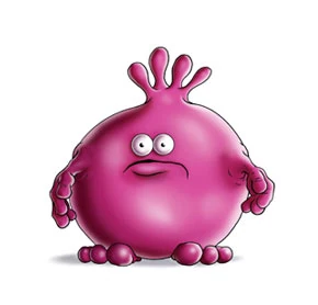 Puddloflaj | A Flanimals Wiki | Fandom