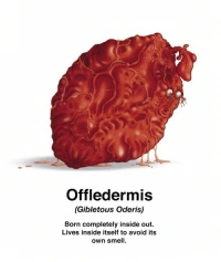 Category:Flanimals | A Flanimals Wiki | Fandom