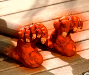 Footburn (disease) | Flapjack Wiki Harbor | Fandom