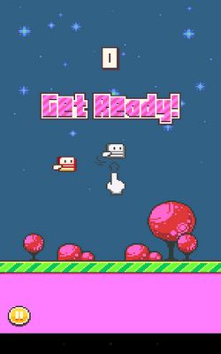 Flappy Bird Get Ready Screen