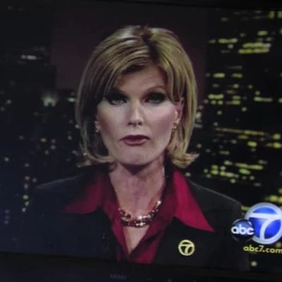 Broadcaster | Flash Forward Wiki | Fandom