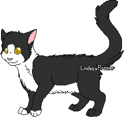 Frostpaw | Warriors: Flee to the Stars Wiki | Fandom