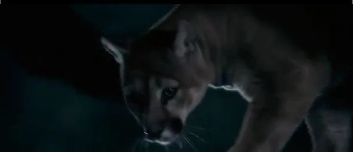 Category:Villains | Flicka The Movie Wiki | Fandom