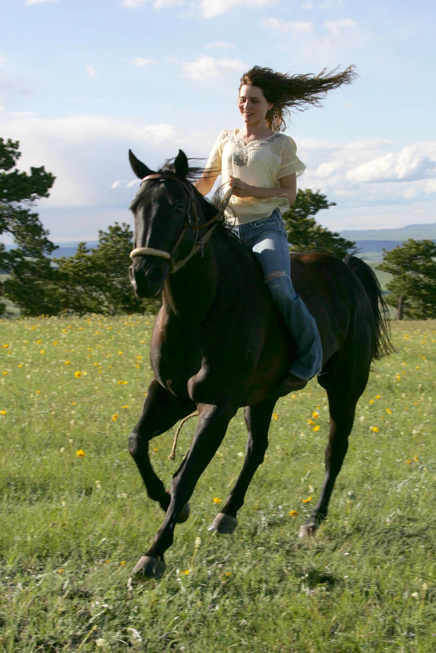 Flicka (Horse) | Flicka The Movie Wiki | Fandom