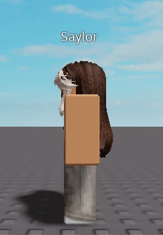 Saylor | Flicker Customs Wiki | Fandom