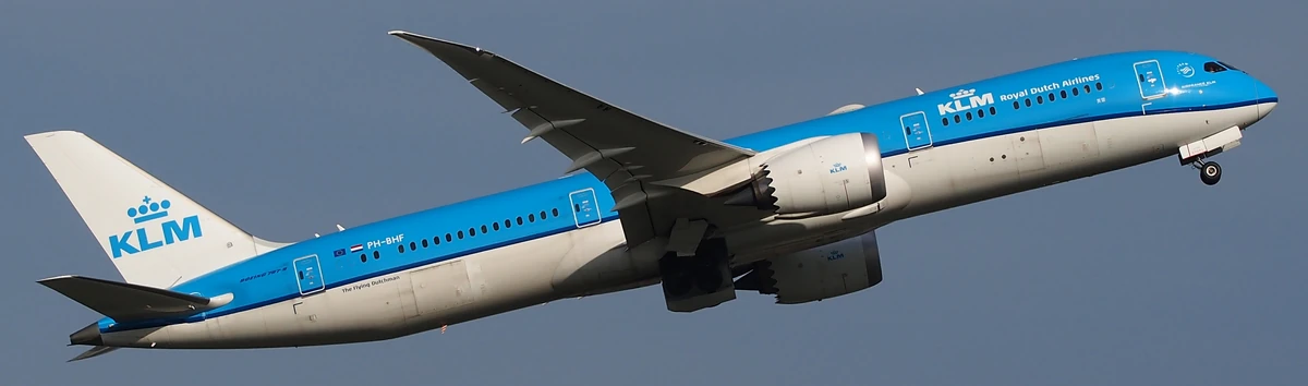 Boeing 787 Dreamliner | Flight Sim Wiki | Fandom