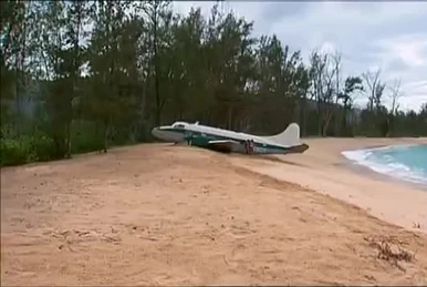 flight 29 down jackson sick