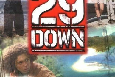 Flight 29 Down Book