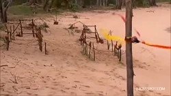 Obstacle Course | Flight 29 down Wiki | Fandom