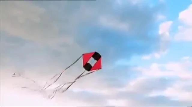 Signal Kite | Flight 29 down Wiki | Fandom