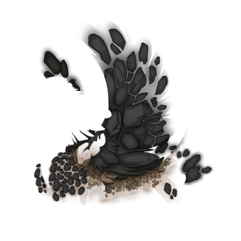 Accent: Coalbound Coatl | Flight Rising Wiki | Fandom