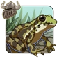 Marsh Frog Companion | Flight Rising Wiki | Fandom