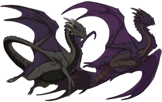 Nocturne Dragon | Flight Rising Wiki | Fandom