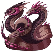 Coliseum | Flight Rising Wiki | Fandom