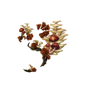 Accent: Fae Decay | Flight Rising Wiki | Fandom