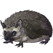 Flight Rising | Flight Rising Wiki | Fandom