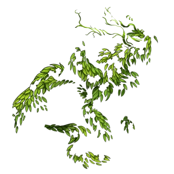 Accent: Summer Coat | Flight Rising Wiki | Fandom