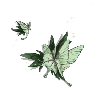 Accent: Moth-Eaten | Flight Rising Wiki | Fandom