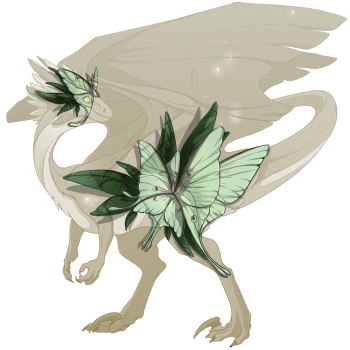 Accent: Moth-Eaten | Flight Rising Wiki | Fandom