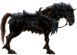 Cevalo | Flightwood Wiki | Fandom