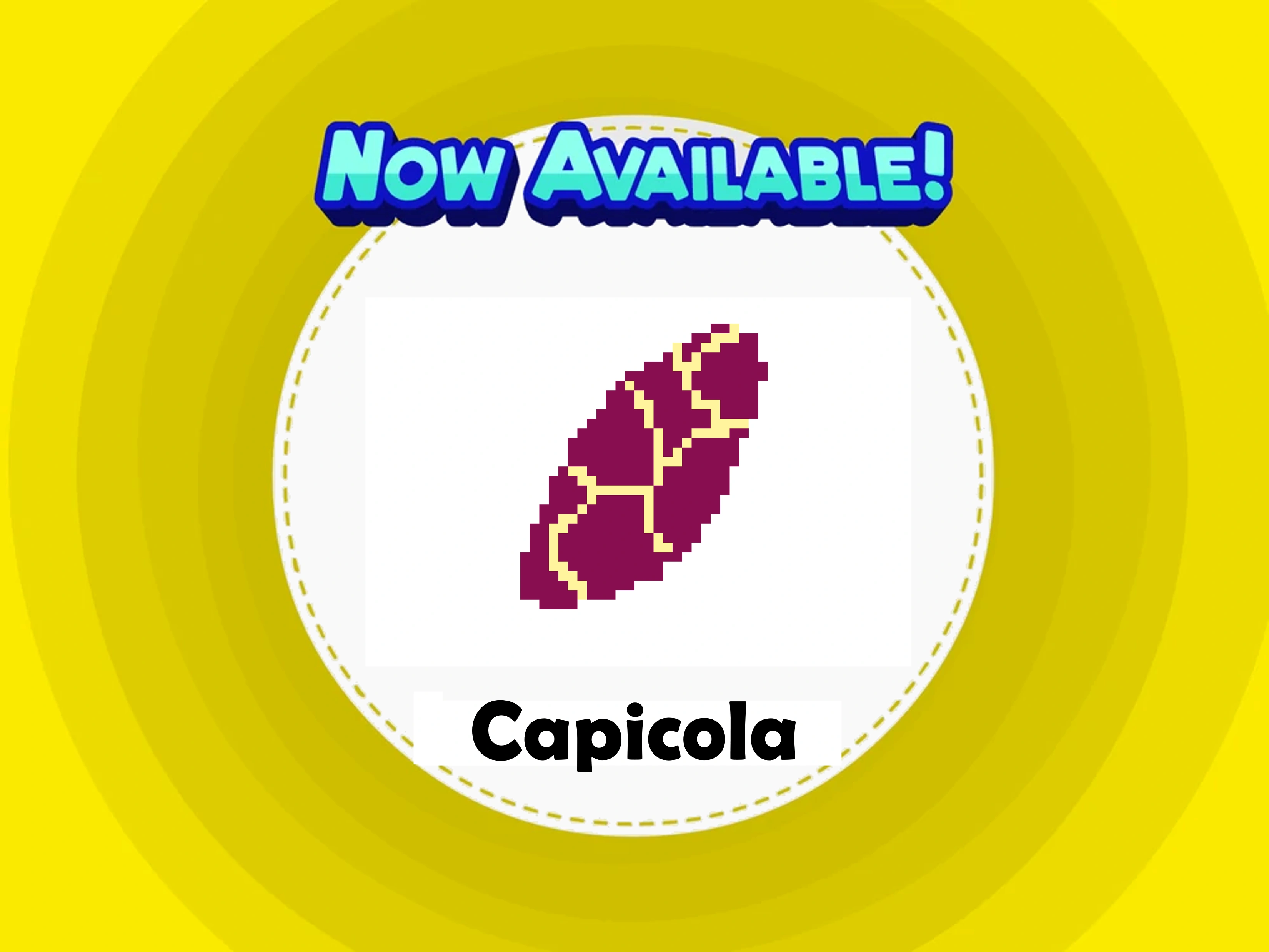 Capicola Homemade Capicola Taste Of Artisan