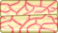 Red Windsor Cheese | Flipline Studios Wiki | Fandom