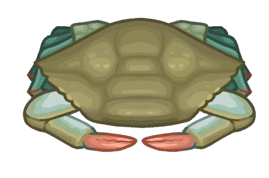 Soft Shell Crab | Flipline Studios 中文 Wiki | Fandom