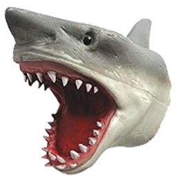 Sharkie | Flip&M Wiki | Fandom