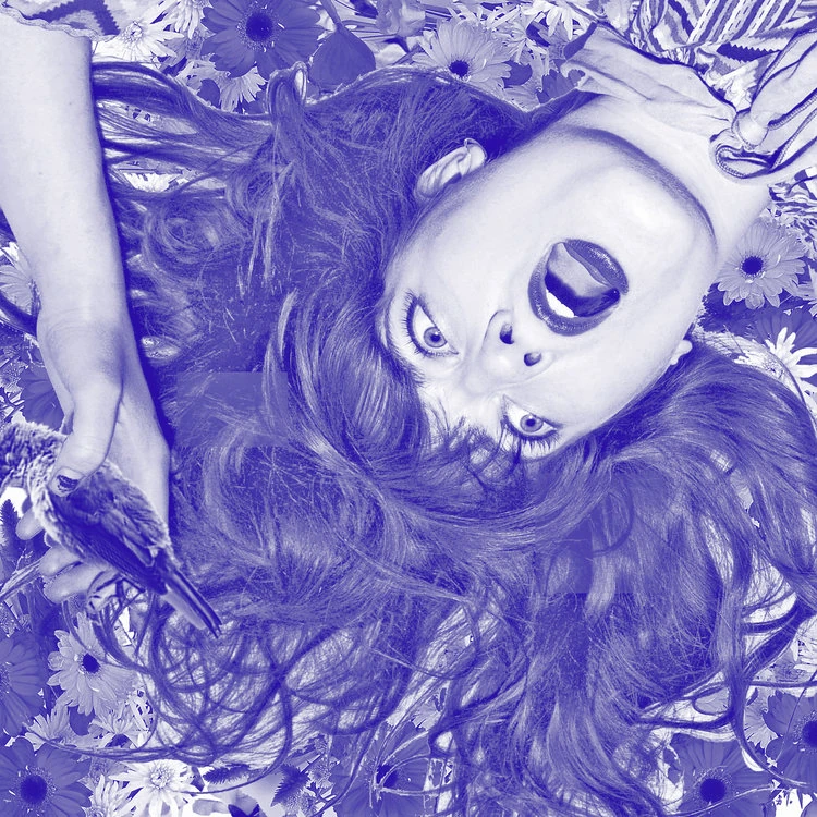 Kiss with a Fist (song) | Florence + the Machine Wiki | Fandom