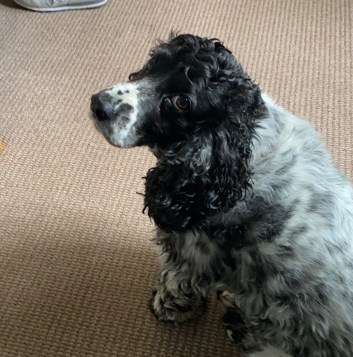 Flo | Flock Wiki | Fandom