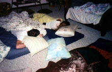 Sleepover | Floogals Wikia | Fandom
