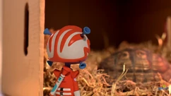 Floogals - Turtle | Floogals Wikia | Fandom