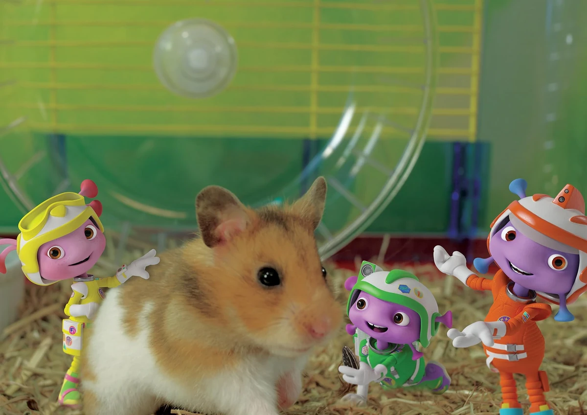 Project Hamster | Floogals Wikia | Fandom