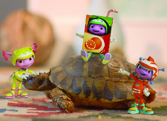 Project Tortoise | Floogals Wikia | Fandom