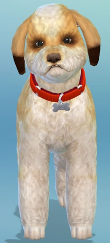 Royal Fluffaluffagus | Floogsims Wiki | Fandom