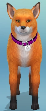 Sprig | Floogsims Wiki | Fandom