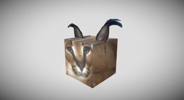 Floppa the 3rd | Floppa Empire Wiki | Fandom