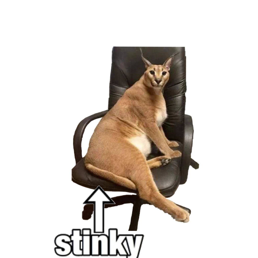 Discord flopanator | Floppa world Wiki | Fandom