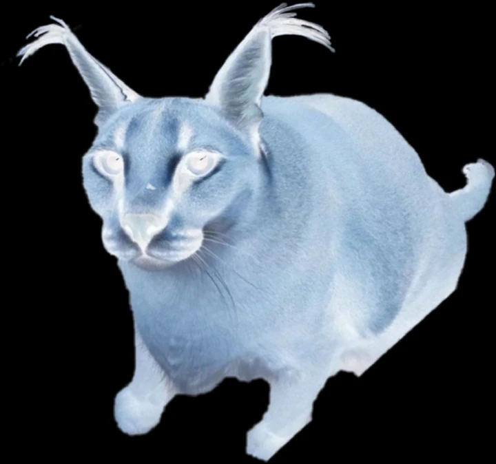 Appolf | Floppa world Wiki | Fandom