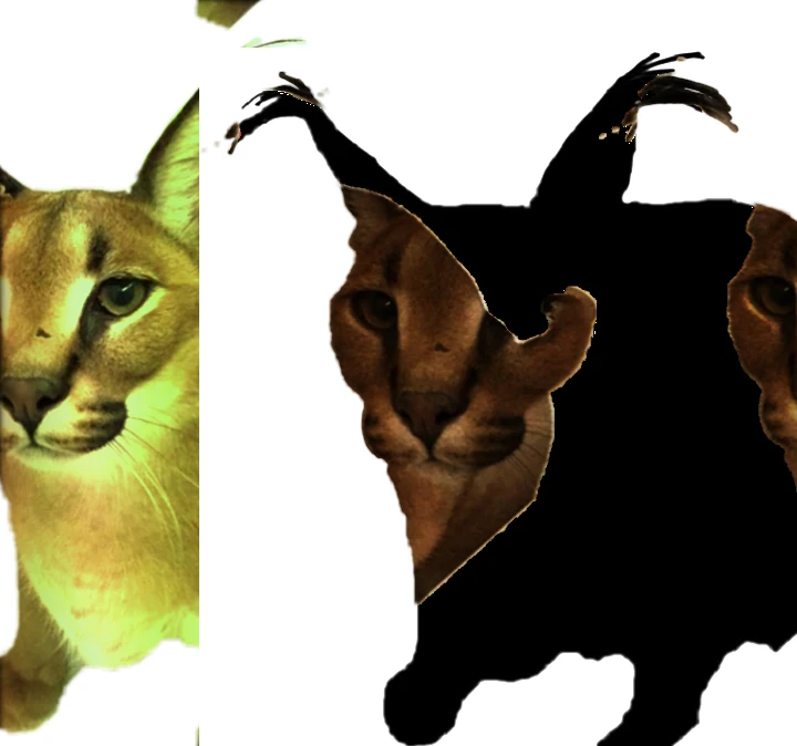 FLowpiqiwrA | Floppa world Wiki | Fandom