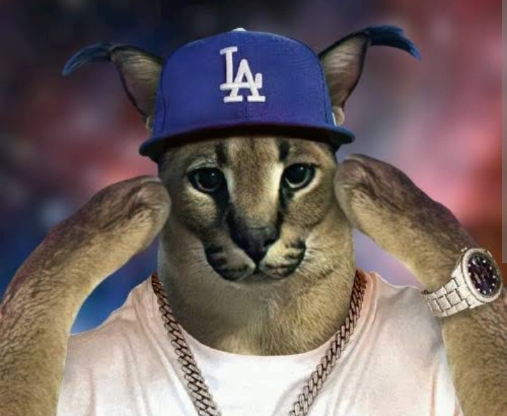 Flopinem | Floppa world Wiki | Fandom