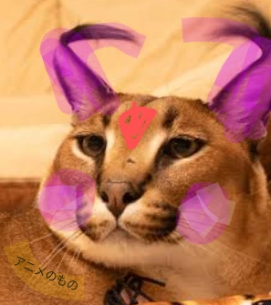 Meow-chan | Floppa world Wiki | Fandom